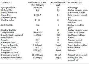 Physiology of Flavors in Beer – Saccharomyces Species – A Ph.D. in Beer ...